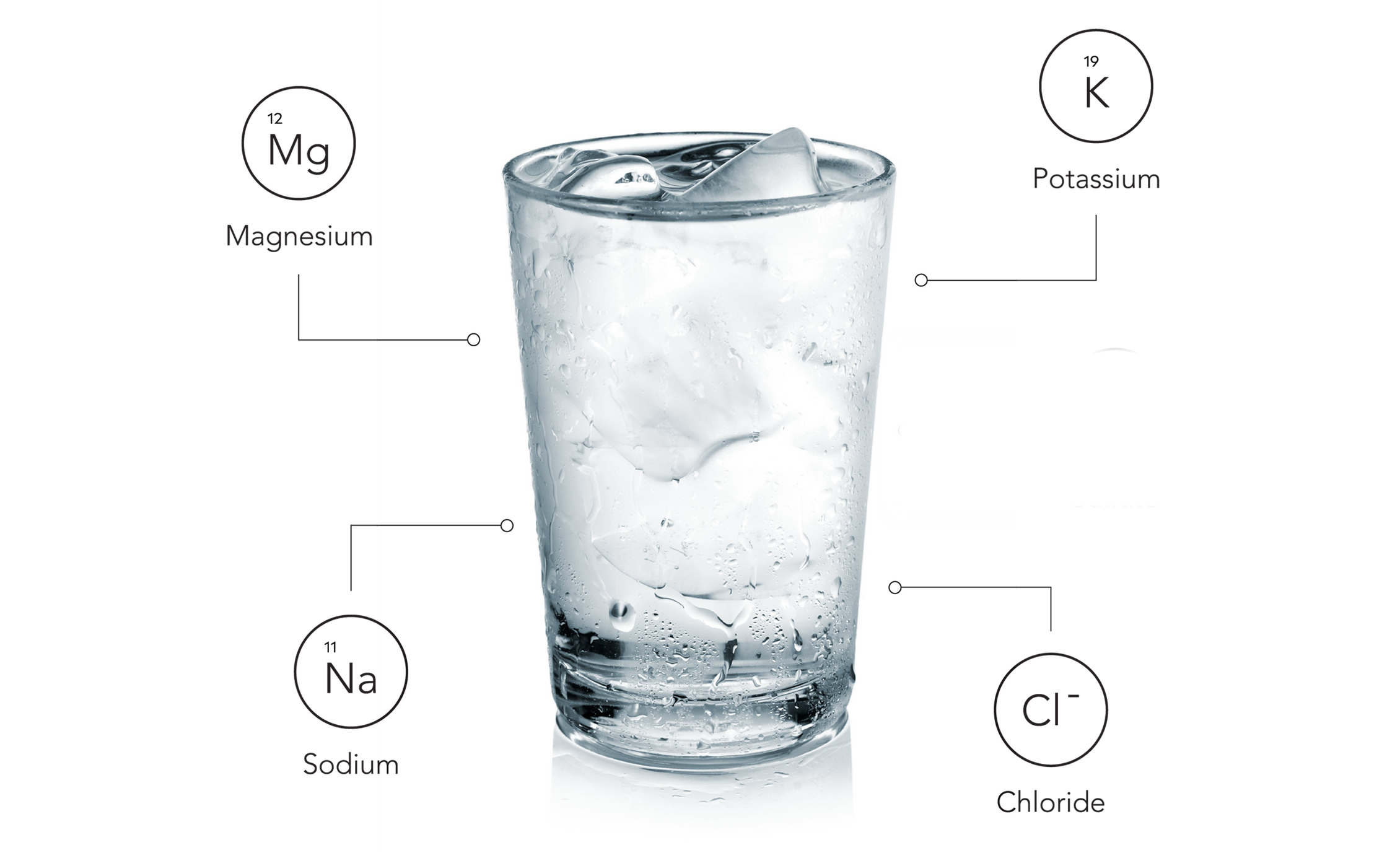 The Choice of Champions – elete™ - The Electrolyte Concentrate